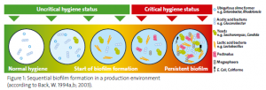 Dohler for microbiological contaminant control | Piramide Srl